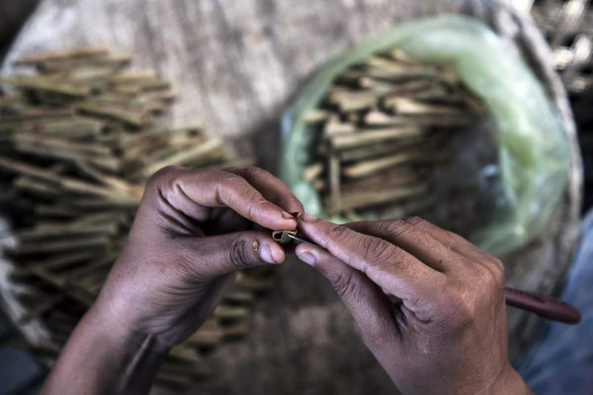 বিড়িকে ইংরেজিতে কী বলে, উত্তর জানেন না ৯০ শতাংশ, আপনি জানলে কেল্লাফতে ...