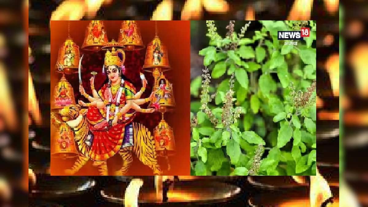 Tulsi Gach: যদি বাড়িতে তুলসী গাছ থাকে তাহলে নবরাত্রিতে করুন এই কাজ ...
