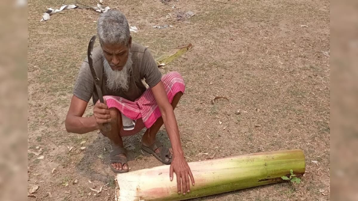 Health benefits of Banana Stem: খেতে ভাল লাগুক বা না লাগুক, কলা গাছের ...