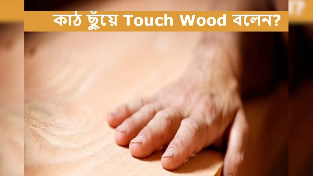 Touch Wood Meaning: কুনজর এড়াতে Touch Wood বলেন? কাঠ ছুঁয়ে এই শব্দ ...