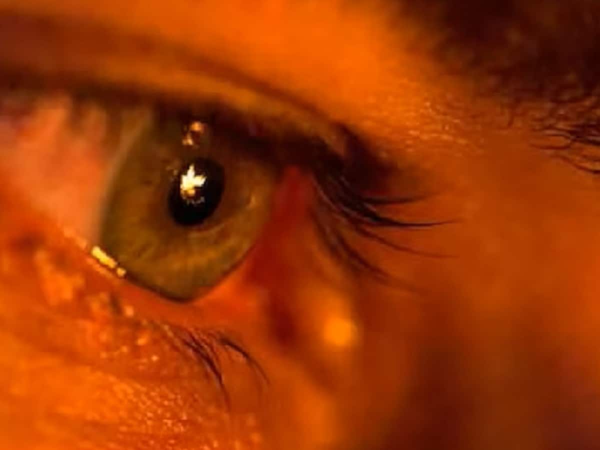 Eye After Death: Eye After Death: মৃত্যুর পরে কেন খোলা থাকে চোখ? মানুষ ...