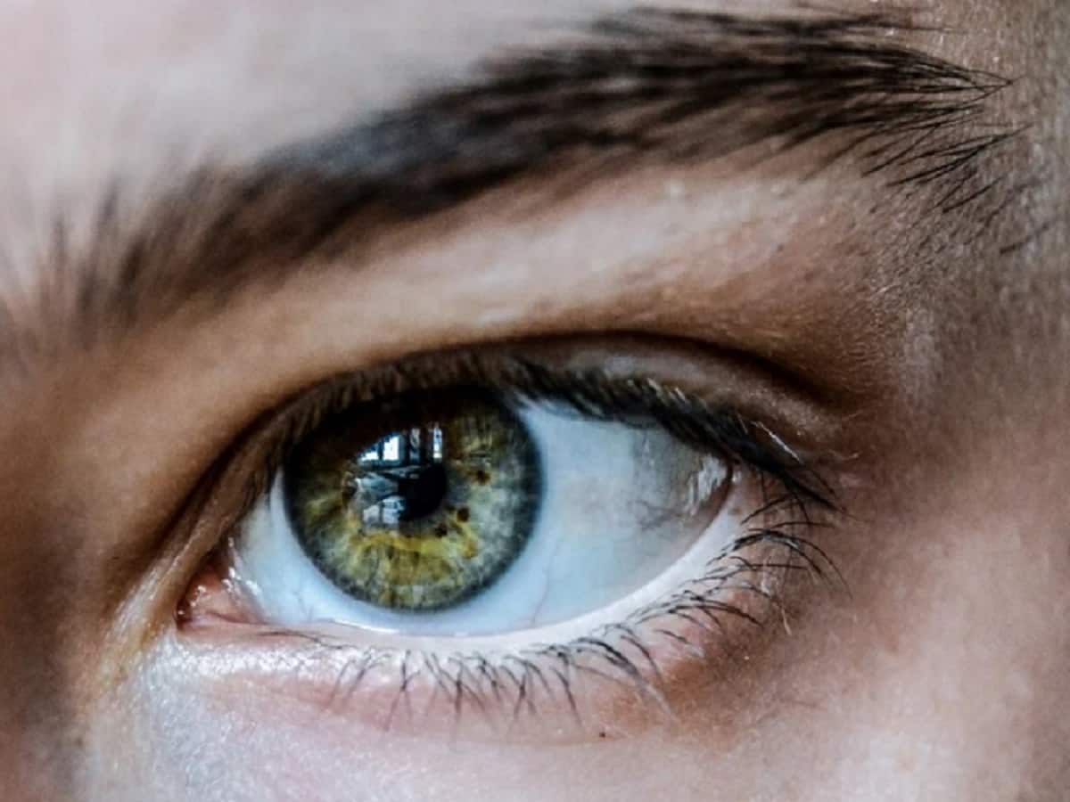 Eye After Death: Eye After Death: মৃত্যুর পরে কেন খোলা থাকে চোখ? মানুষ ...