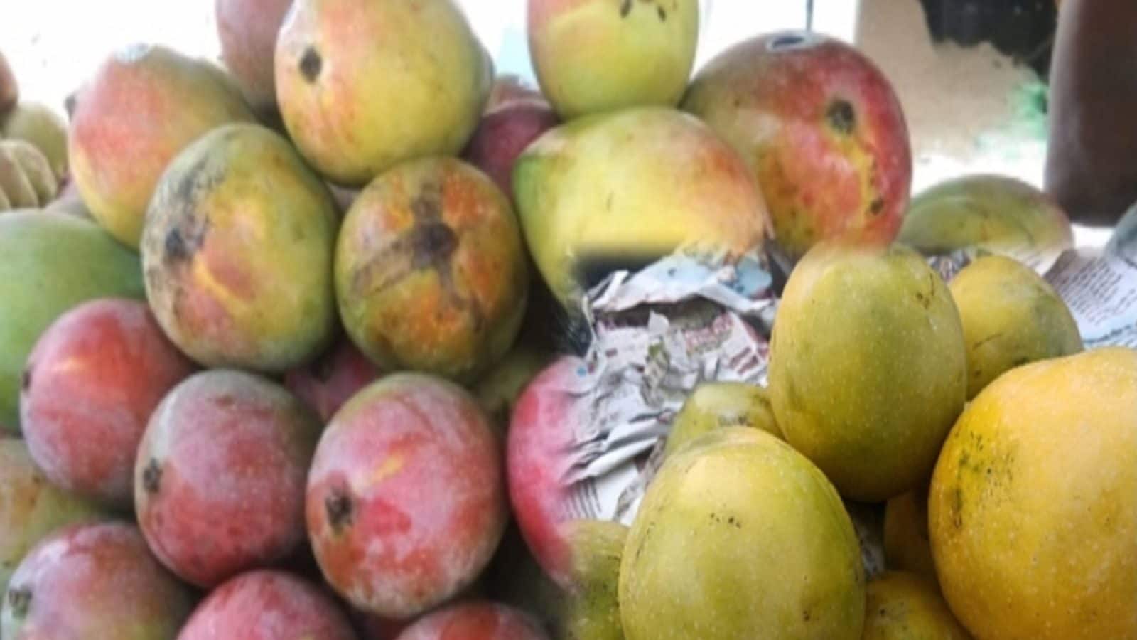 Mango | কী কাণ্ড! আমের জেলাতেই দেদার বিকোচ্ছে ভিন রাজ্যের আম! দাম শুনলে ...