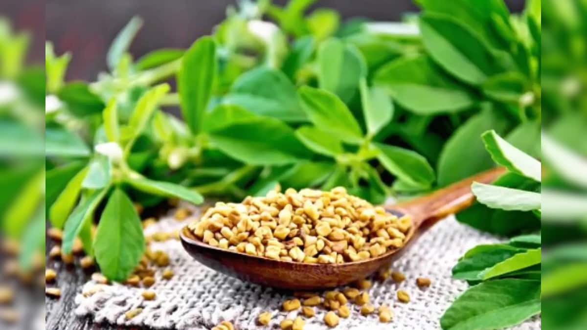 Methi Water For Weight Loss: হুহু করে কমবে মেদ! ওজন ঝরাতে এই পানীয়ের ...