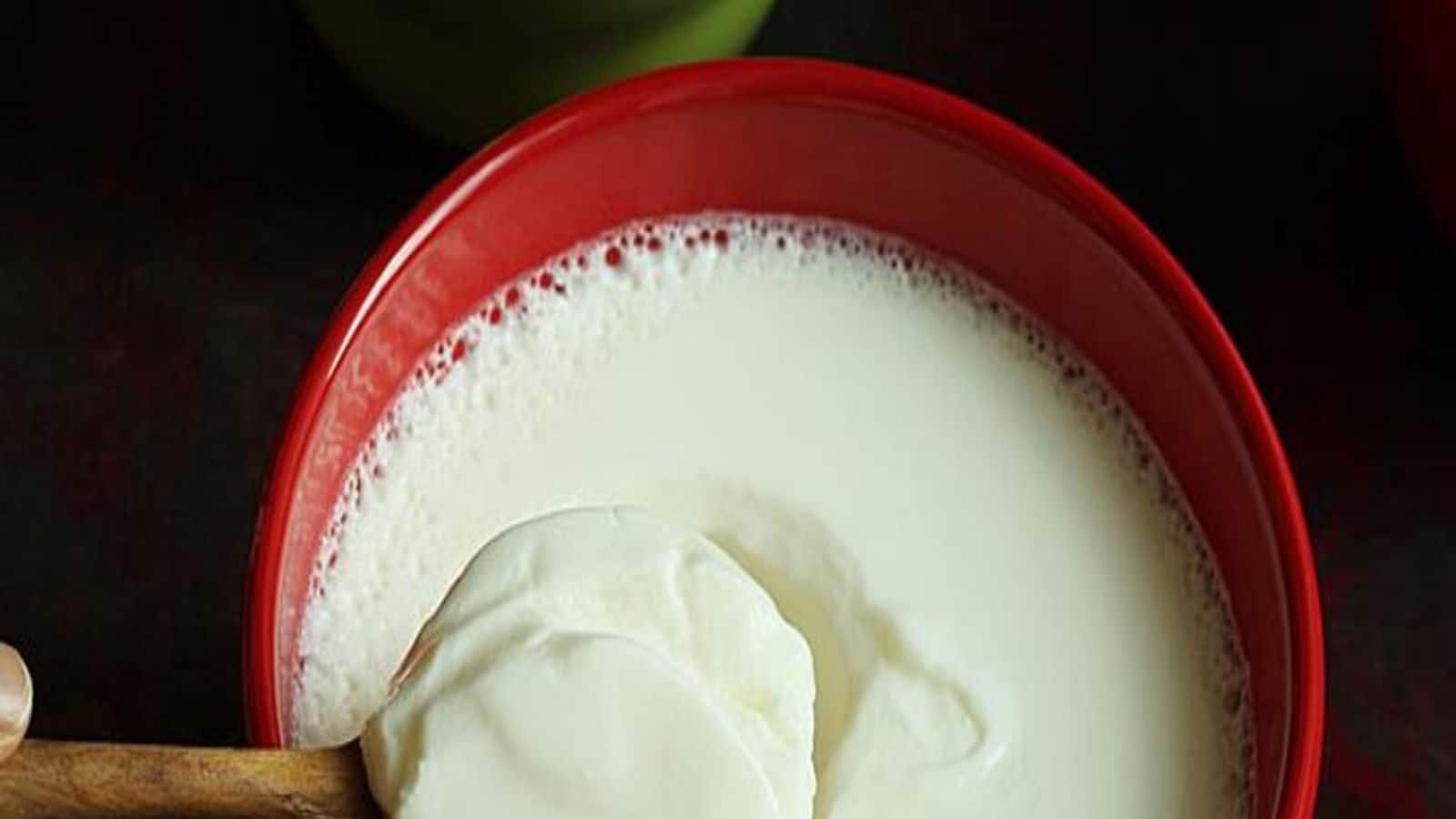 Curd with Salt Or Sugar: দই 'নুন' দিয়ে খাবেন, না 'চিনি' দিয়ে? কী ভাবে ...