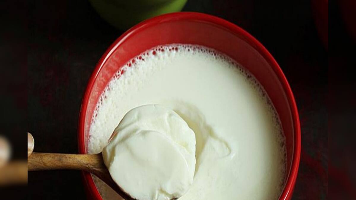 Curd with Salt Or Sugar: দই 'নুন' দিয়ে খাবেন, না 'চিনি' দিয়ে? কী ভাবে ...