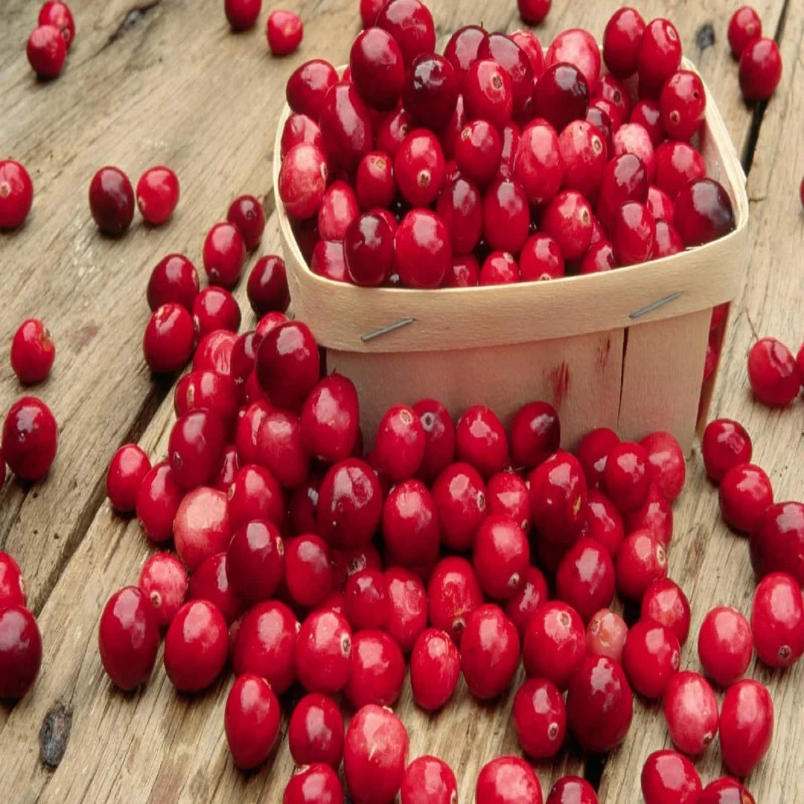 Cranberry for Woman | মেয়েদের শরীরে বার বার বাসা বাঁধে 'এই' রোগ, লাল ...
