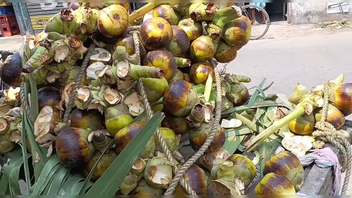 Health Benefits Of Palm Fruits | Taal Saas : গরমে সস্তায় রোজ খান তাল ...