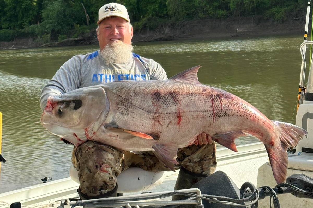 Alien Fish: যেন ভয়ঙ্কর কোনও 'দানব'! পেটে ১ কোটিরও বেশি ডিম, পুকুরে ...