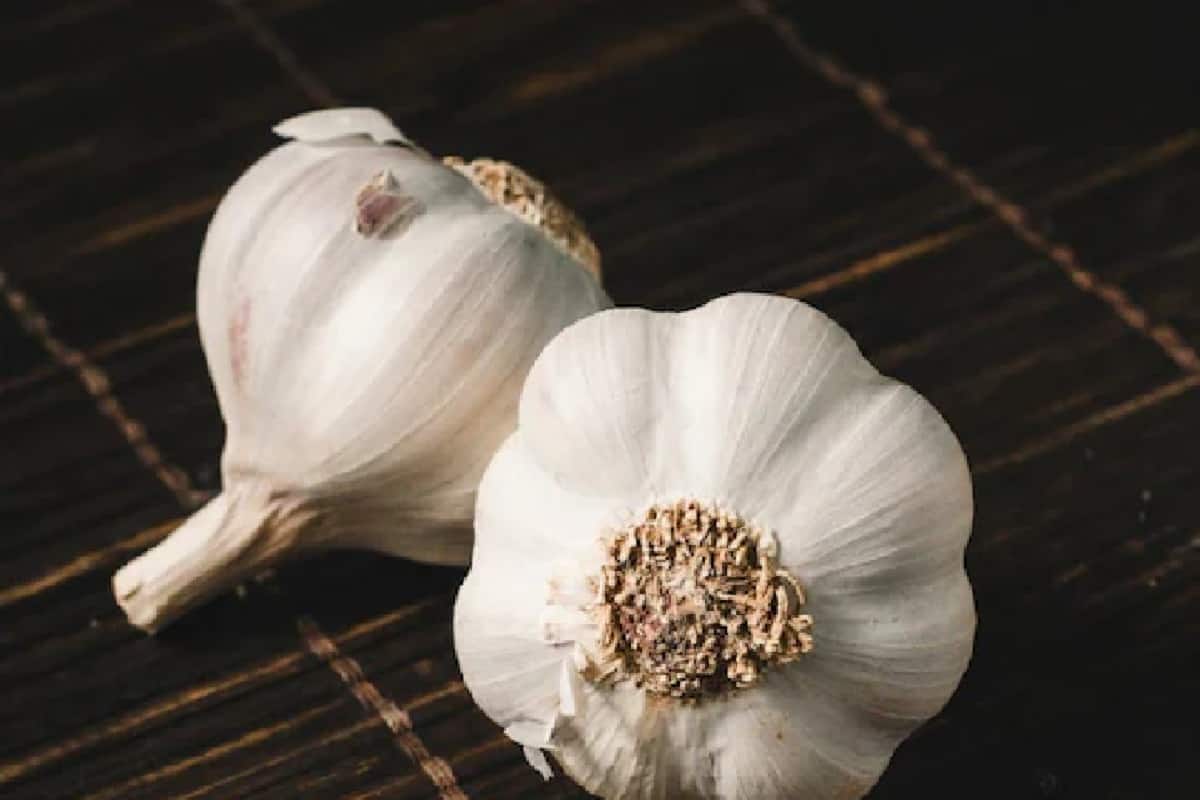 Garlic Vegetable or Masala | রসুন সবজি নাকি মশলা? ৯৯ শতাংশ মানুষের ...