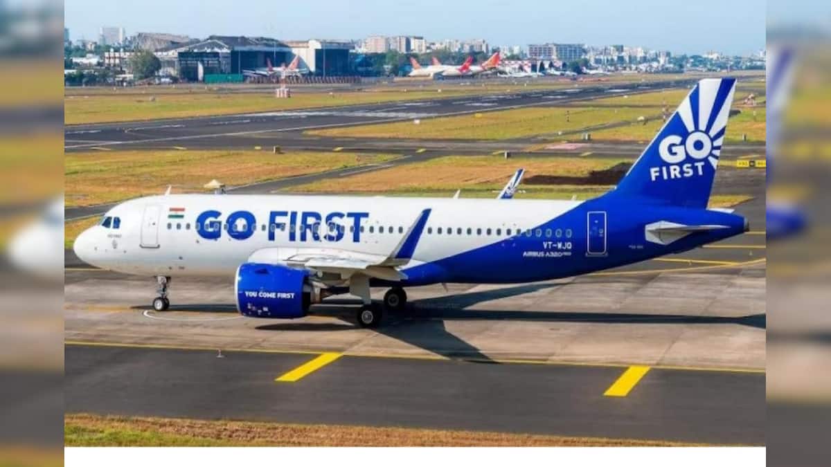 Go First Airlines Crisis Explained: আর্থিক সঙ্কটের জেরে উড়ান বাতিল করল ...