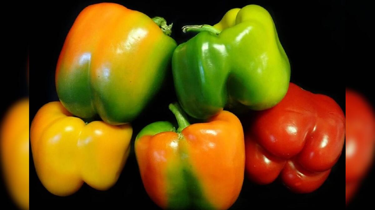 Benefits of Capsicum: ওজন কমানো থেকে শুরু করে চোখের সমস্যার সমাধান হবে ...
