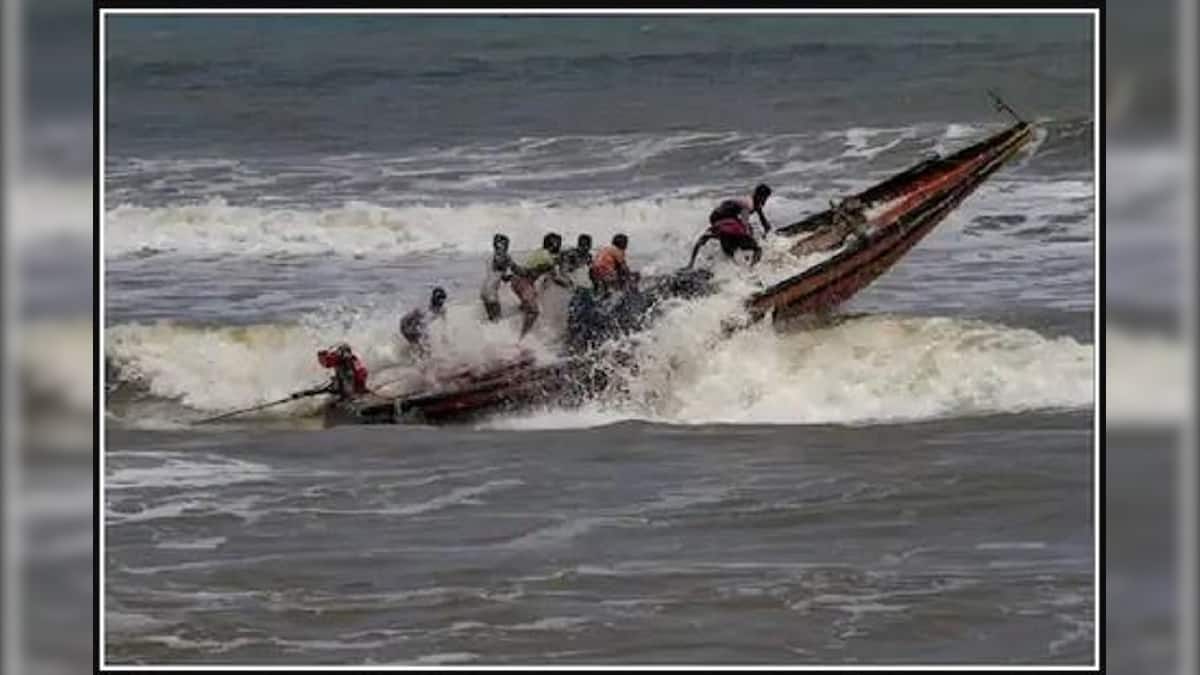 North 24 Parganas News: সুন্দরবনে মাছ ধরার জালে ধরা পড়ল বিশালাকার ...