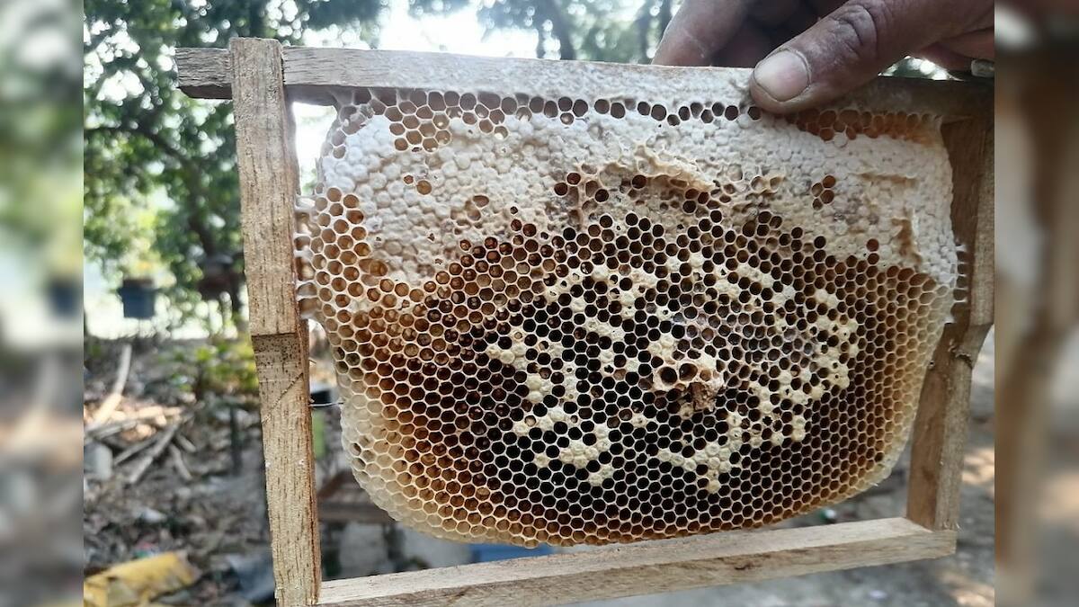 Nimpith Agricultural Science Center celebrated World Bee Day on 20th ...