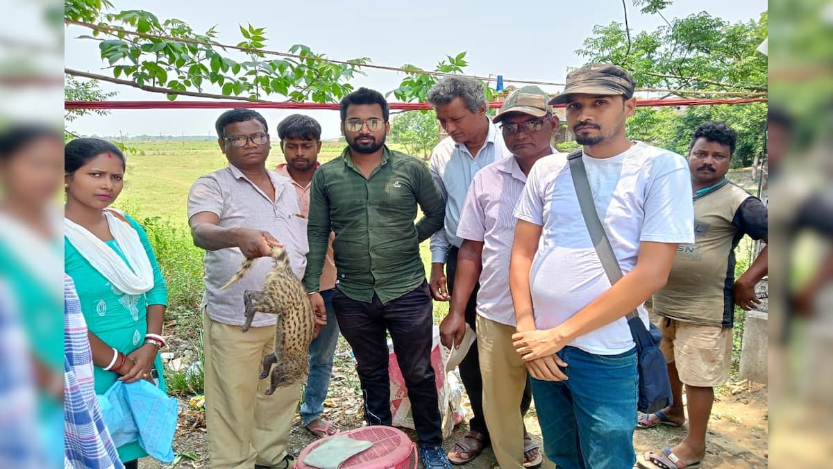 Gandha Gokul was rescued in critical condition and handed over to the ...