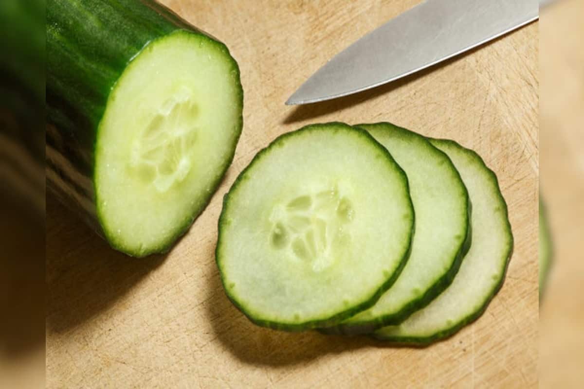 Cucumber Interesting Fact: শসা একটি ফল নাকি সবজি? ৯৯ % মানুষই দিয়েছেন ...