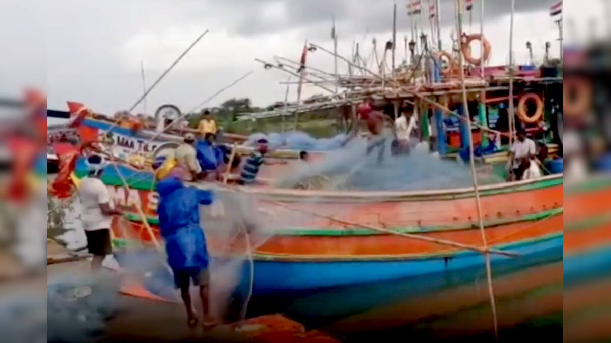 Digha estuary fish auction center large-sized Shankar fish noisy across ...