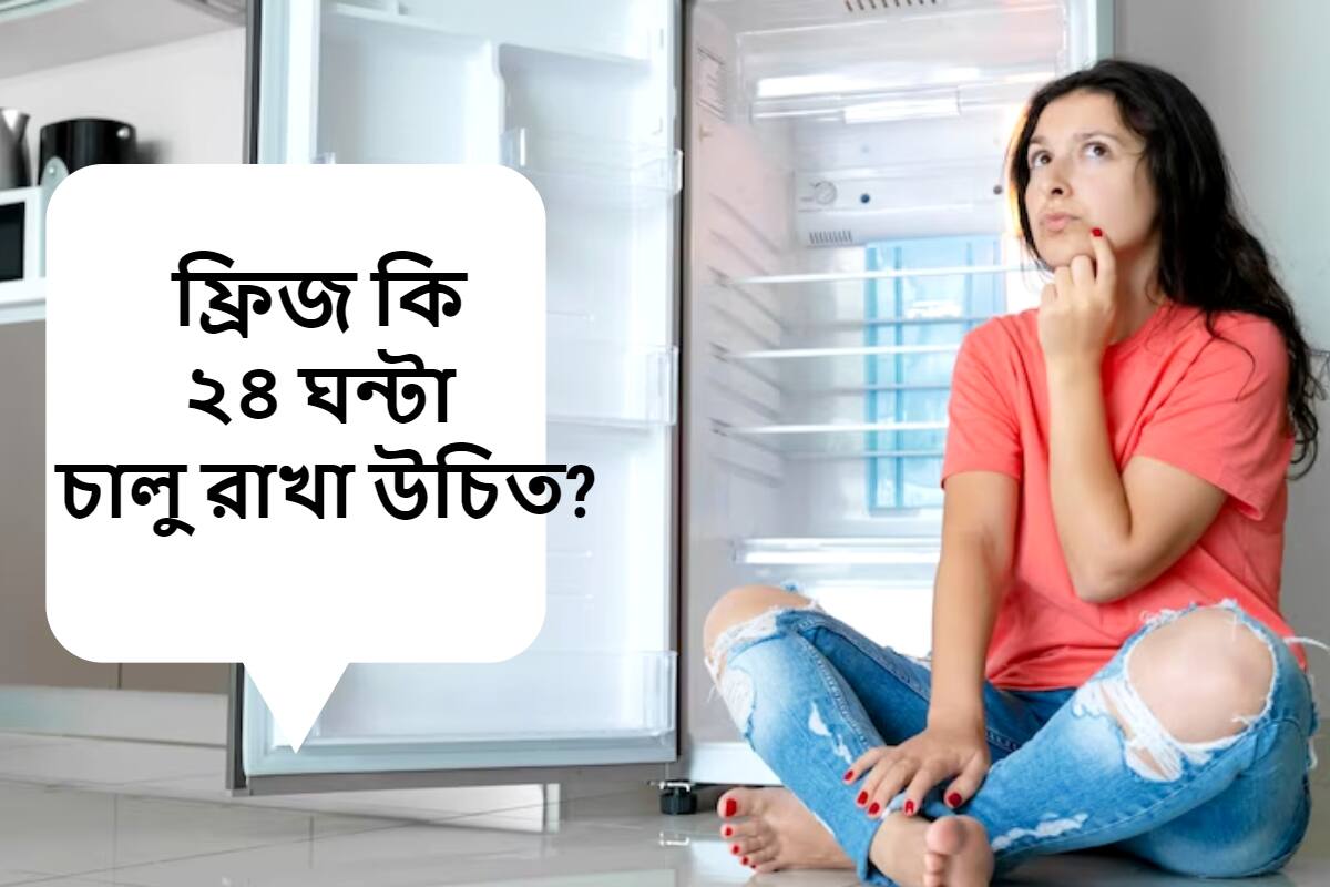Knowledge Story: ফ্রিজ কি ২৪ ঘন্টা চালু রাখা উচিত? এখনই জানুন গুরুত্বপূর্ণ টিপস এই বিষয়ে