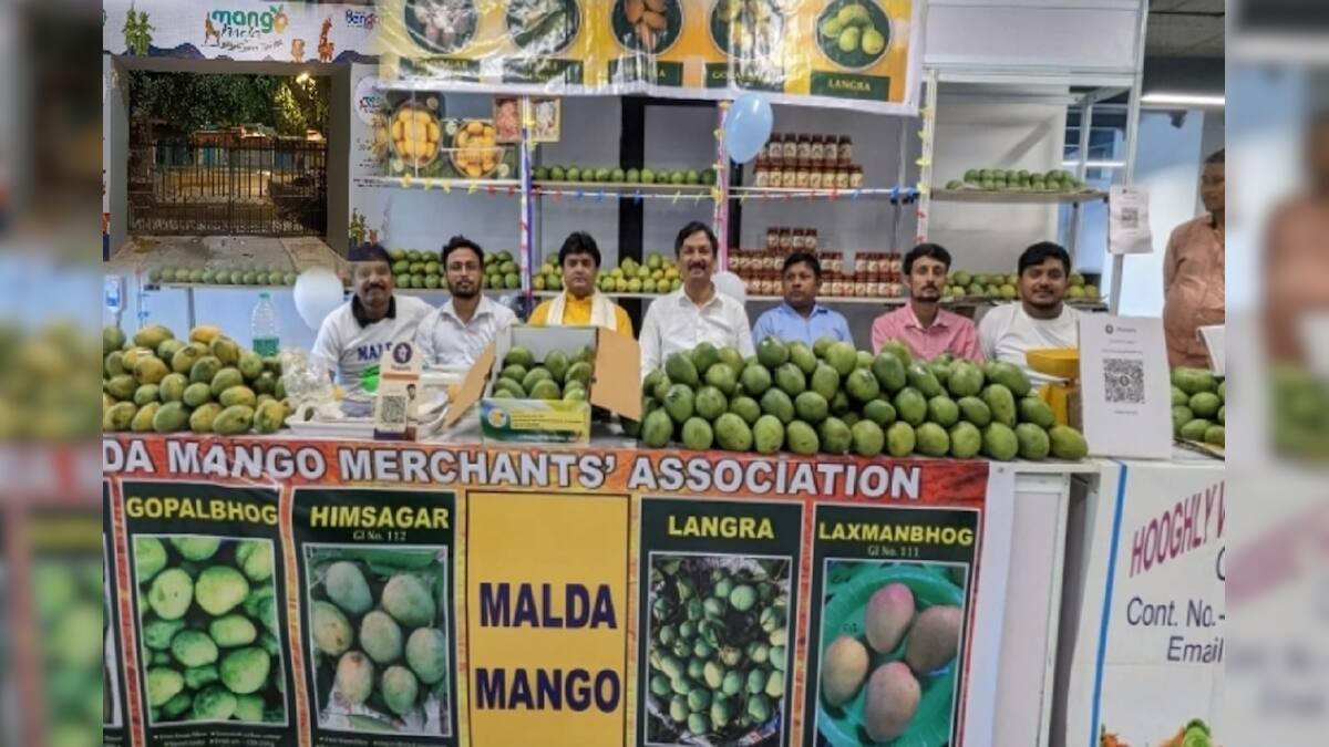 Malda mangoes are being sold at the Delhi Mango Festival। রাজধানীতে ...