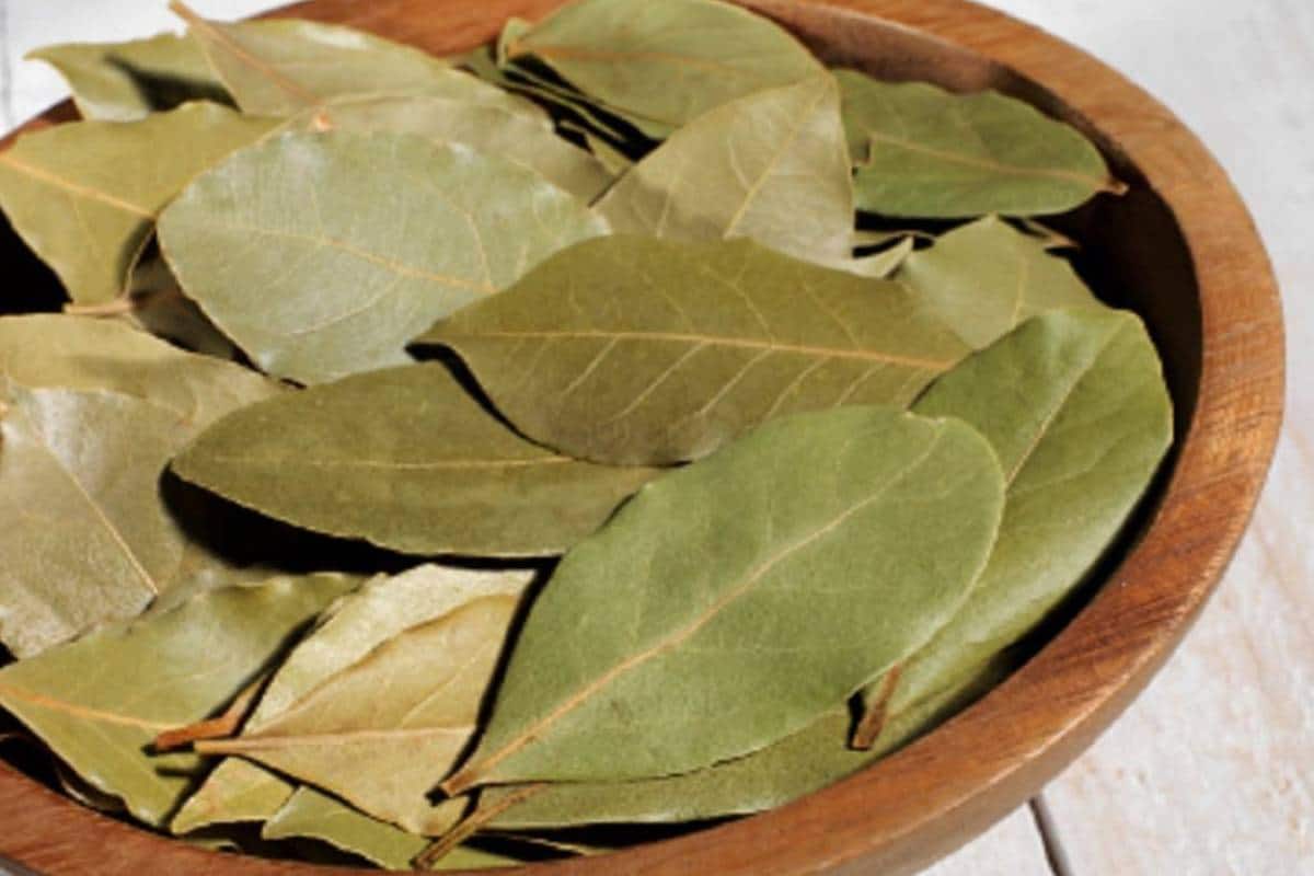 Knowledge Story | তেজপাতার ইংরেজি কি জানেন? ভাল করে ভেবে দেখুন, ৭৫ ...