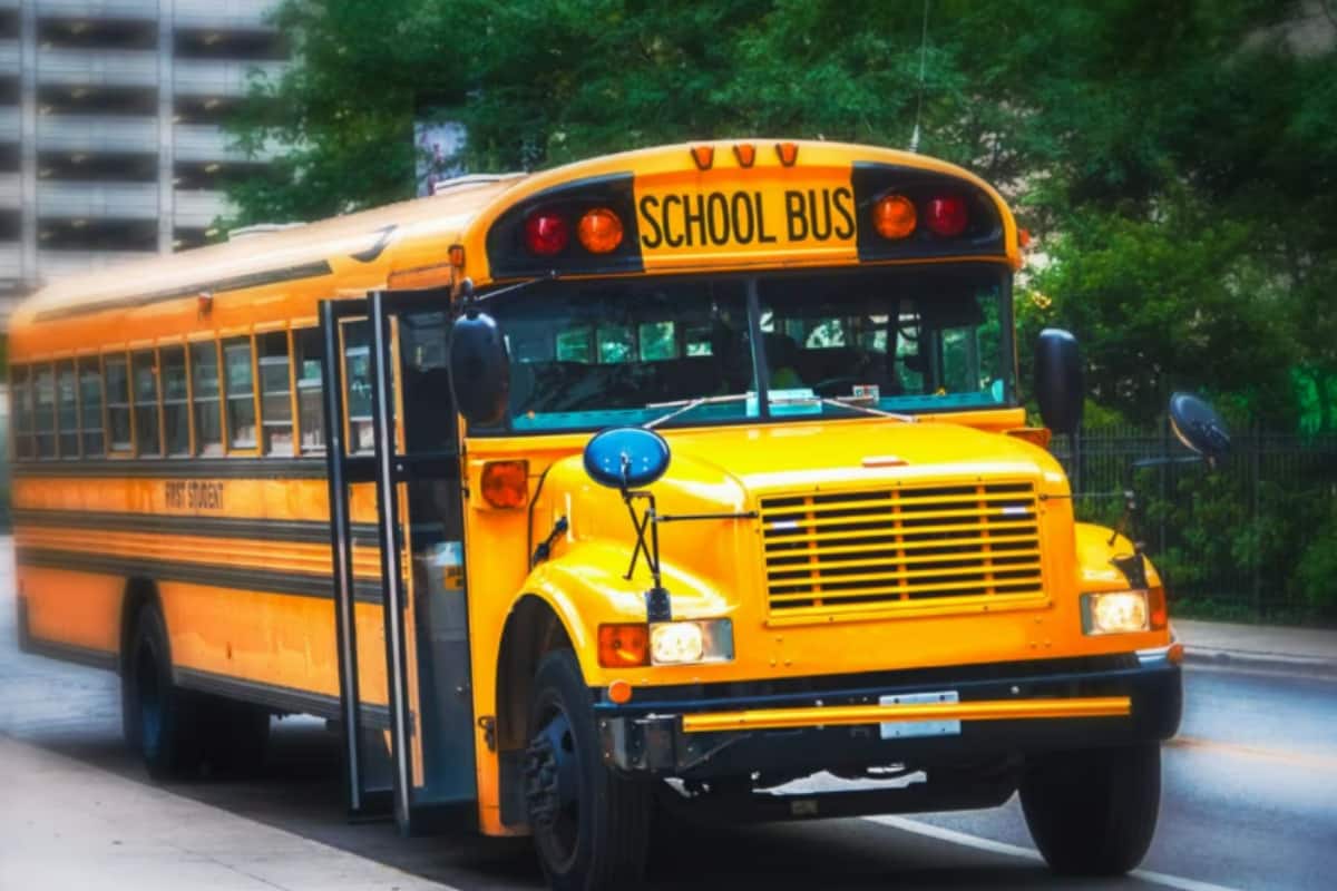 Knowledge Story: স্কুল বাস হলুদ রঙের কেন হয়, এর কারণ কী, কখনও ভেবে ...