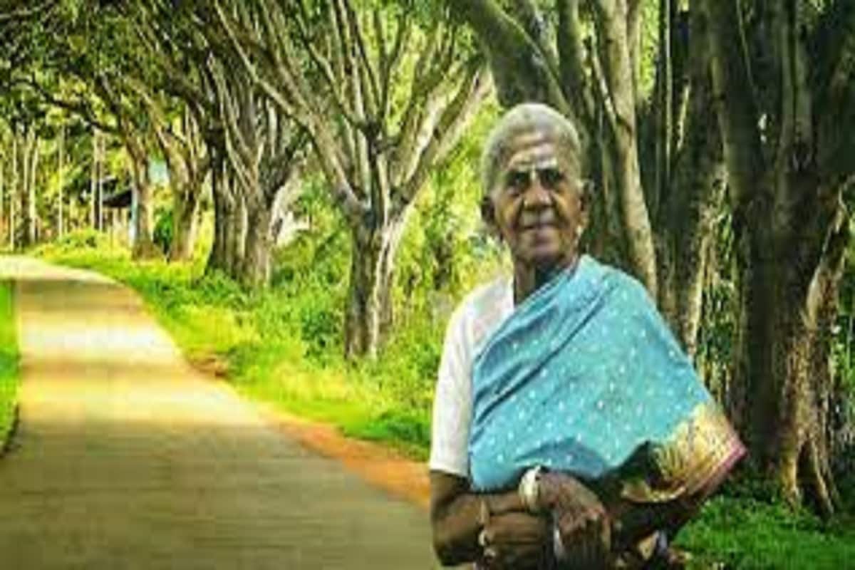 Saalumarada Thimmakka: তিনিই প্রকৃত মা, গাছের মা, গাছের প্রতি ভালবাসার ...