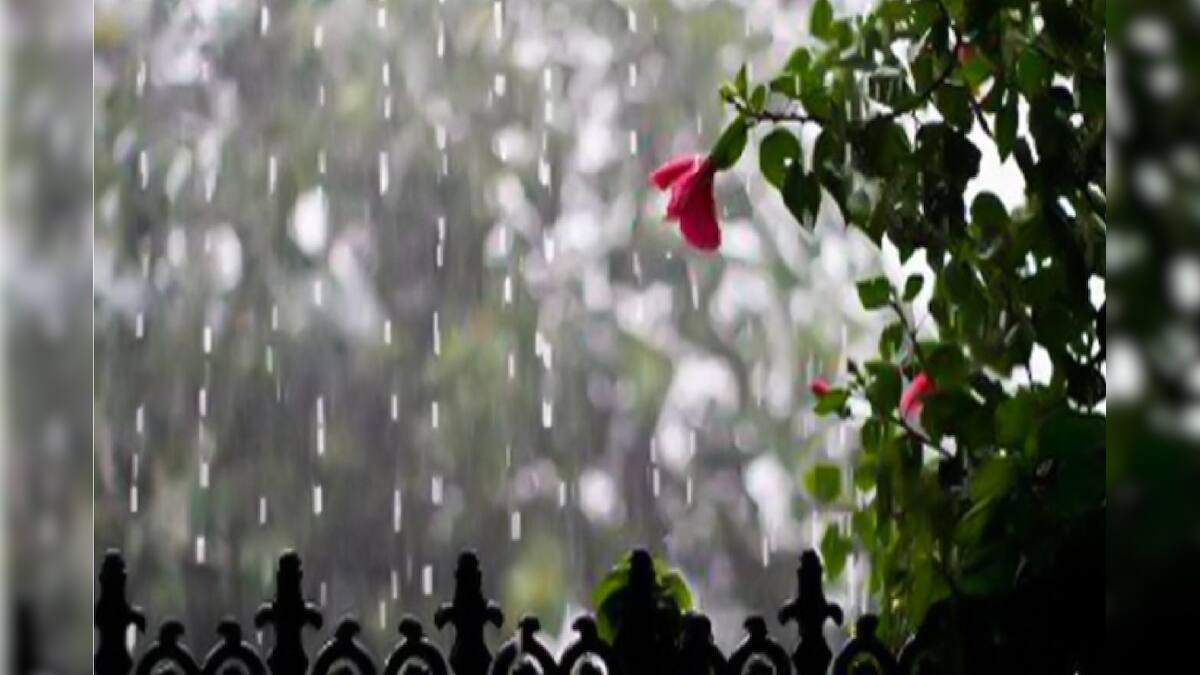 Rain Alert | আকাশে জমছে কালো মেঘ! আজ স্বস্তির বৃষ্টিতে ভিজবে শুধুমাত্র ...