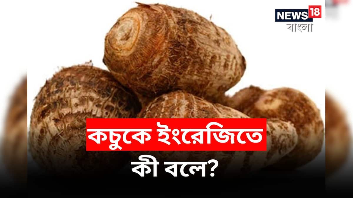 Knowledge Story | সুযোগ পেলেই পাতে তুলে নেন! কচুকে ইংরেজিতে কী বলে ...