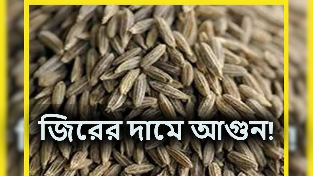 Jeera Price Hike: অগ্নিমূল্য জিরে! ১ কেজি জিরের দাম কত? আকাশ ছোঁয়া দাম ...