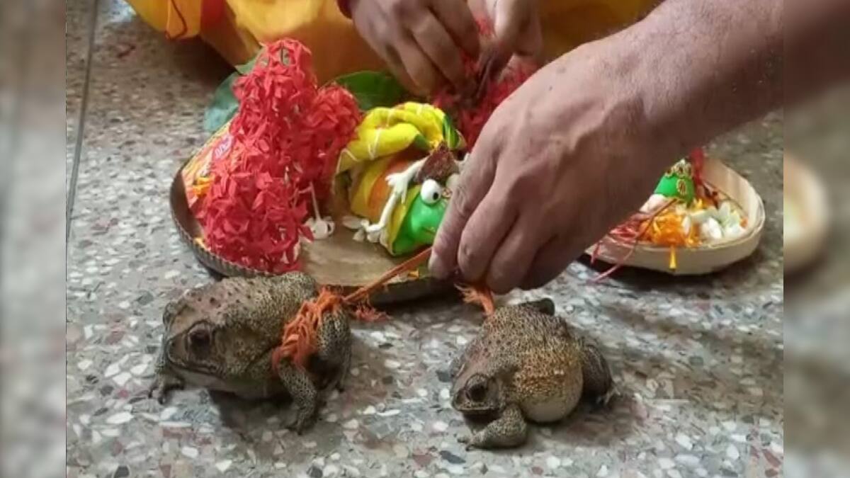 Bangla News | মাংস, মিষ্টি, চাটনি...এলাহি আয়োজন! বৃষ্টির প্রার্থনায় ...