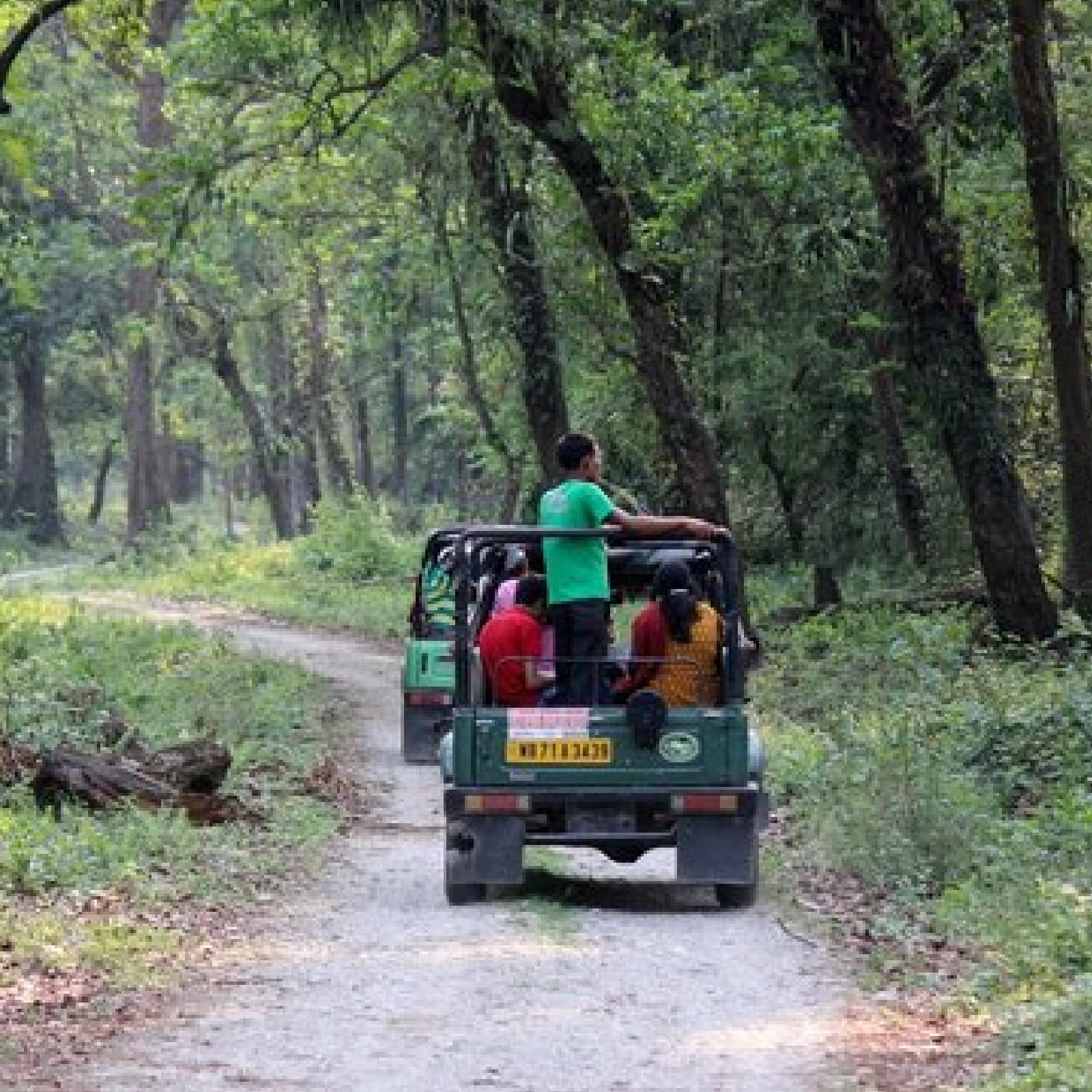 উত্তরবঙ্গের সমস্ত জঙ্গল তিন মাসের জন্য বন্ধ. all jungles of north ...