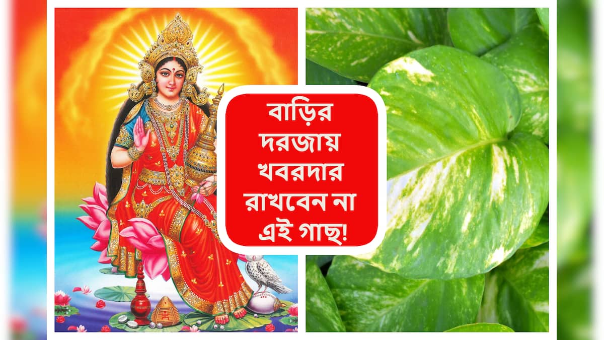 Pori Moni: রাজ চলে গেল রাজের মতো...সম্পর্ক জোড়া লাগার গুঞ্জনের মাঝেই ...