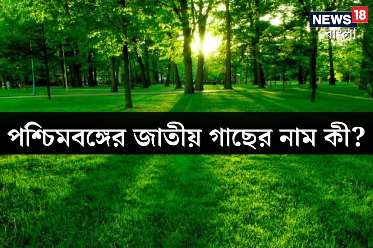 What is The National Tree of West Bengal: বাংলায় তো থাকেন ...