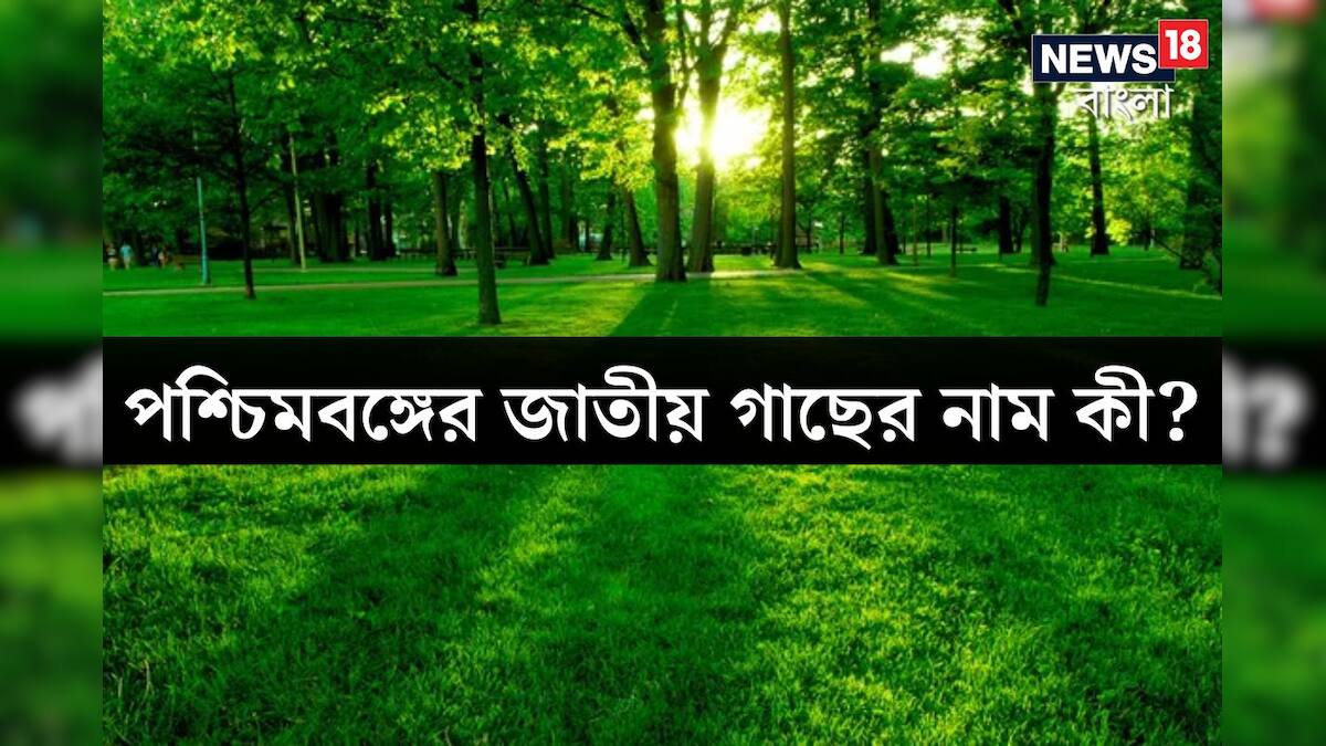 What is The National Tree of West Bengal: বাংলায় তো থাকেন ...