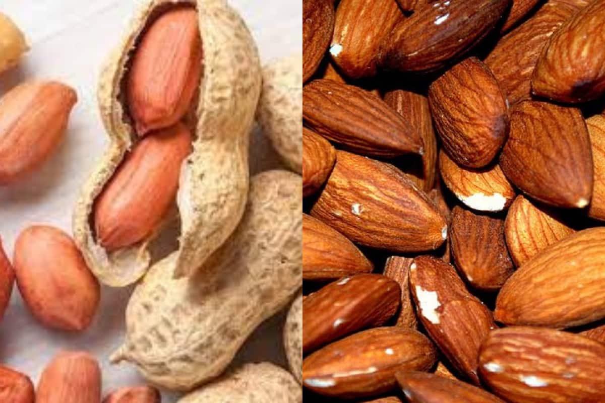 Peanut VS Almonds: বাদাম না চিনাবাদাম, কোনটা ভাল আর কোনটা হতে পারে ...