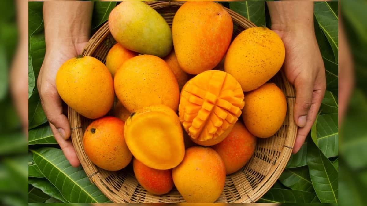 diabetes। cancer। diabetes control tips। cancer care। mango peel ...