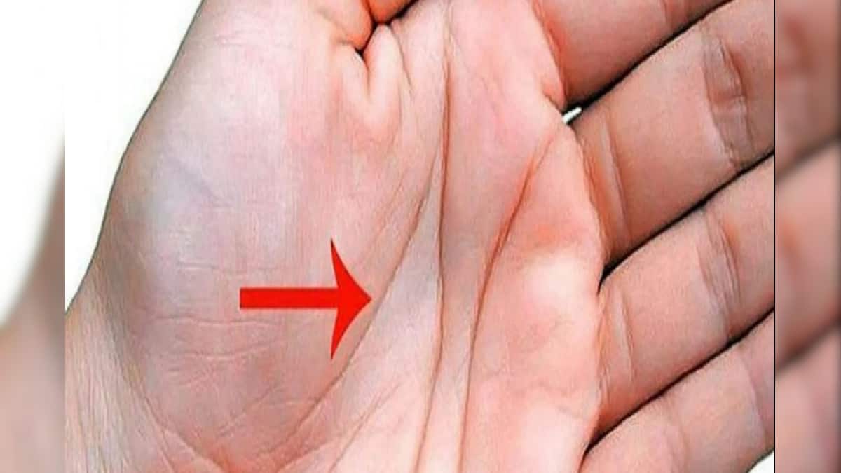 Meaning Of M Sign On Palm: আপনার হাতে এই ‘M’ রেখা আছে? থাকলে কী হয় ...