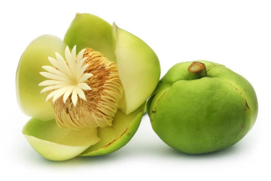 Chalta fruit English Term : ভরপুর পুষ্টি, চাটনি হোক বা আচার, স্বাদের ...