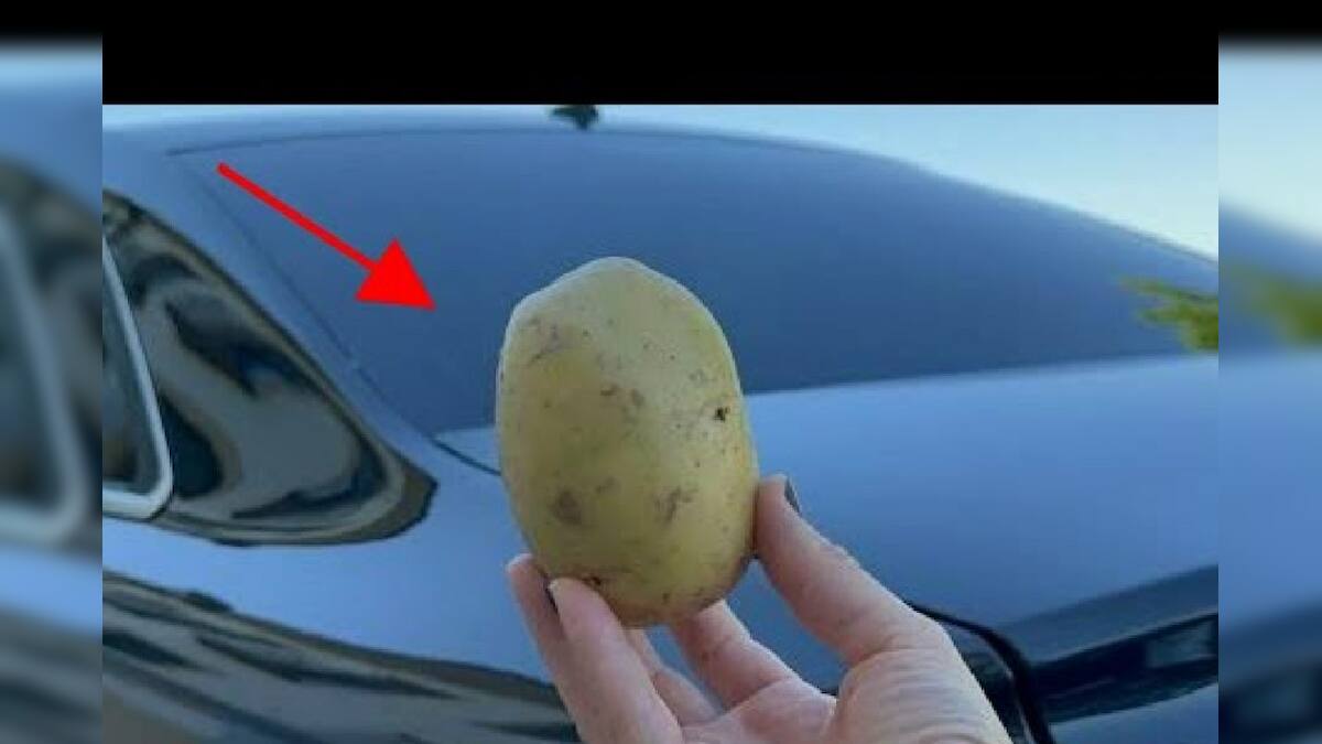 car-driving-tips-in-monsoon-by-potato, আলু বাঁচিয়ে দিতে পারে গাড়ি ...