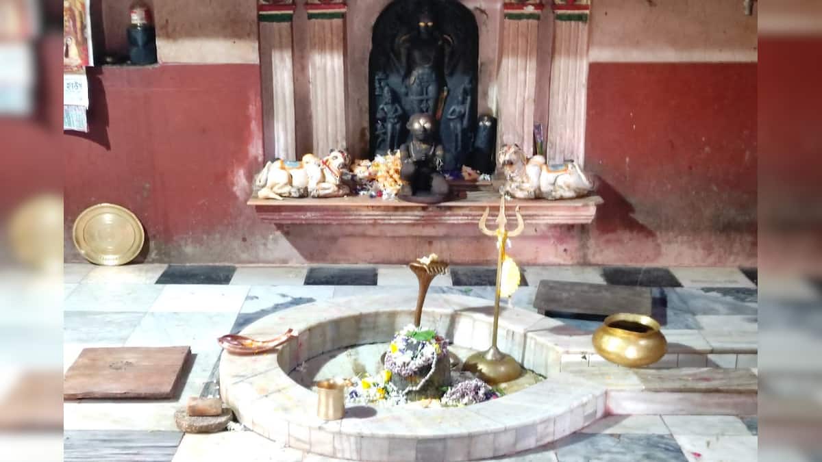 Lord Shiva Temple: মাটি খুঁড়তেই বেরিয়ে এলেন ভোলেবাবা! শুধু তারকেশ্বর ...