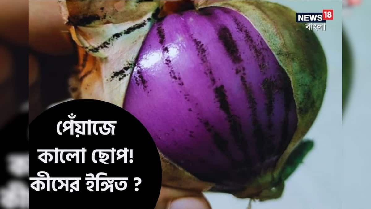 Black Mold Of Onion: পেঁয়াজে কালো ছোপ! কীসের ইঙ্গিত, জেনে নিন ...