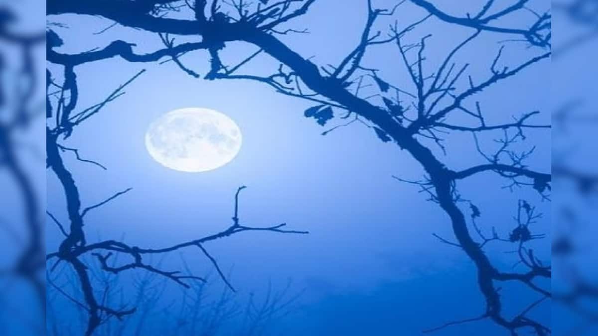 ১৪ শতাংশ বড় চাঁদ! সাক্ষী থাকতে রাখি পূর্ণিমার রাতে চোখ থাক আকাশে ...