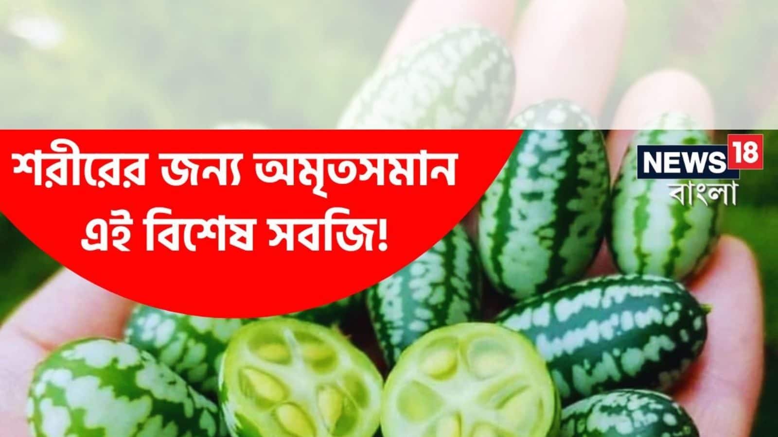 Health Benefits of Kachri: শরীরের জন্য অমৃতসমান এই বিশেষ সবজি! দাম ...