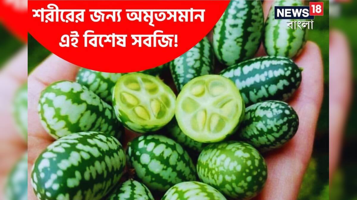 Health Benefits of Kachri: শরীরের জন্য অমৃতসমান এই বিশেষ সবজি! দাম ...