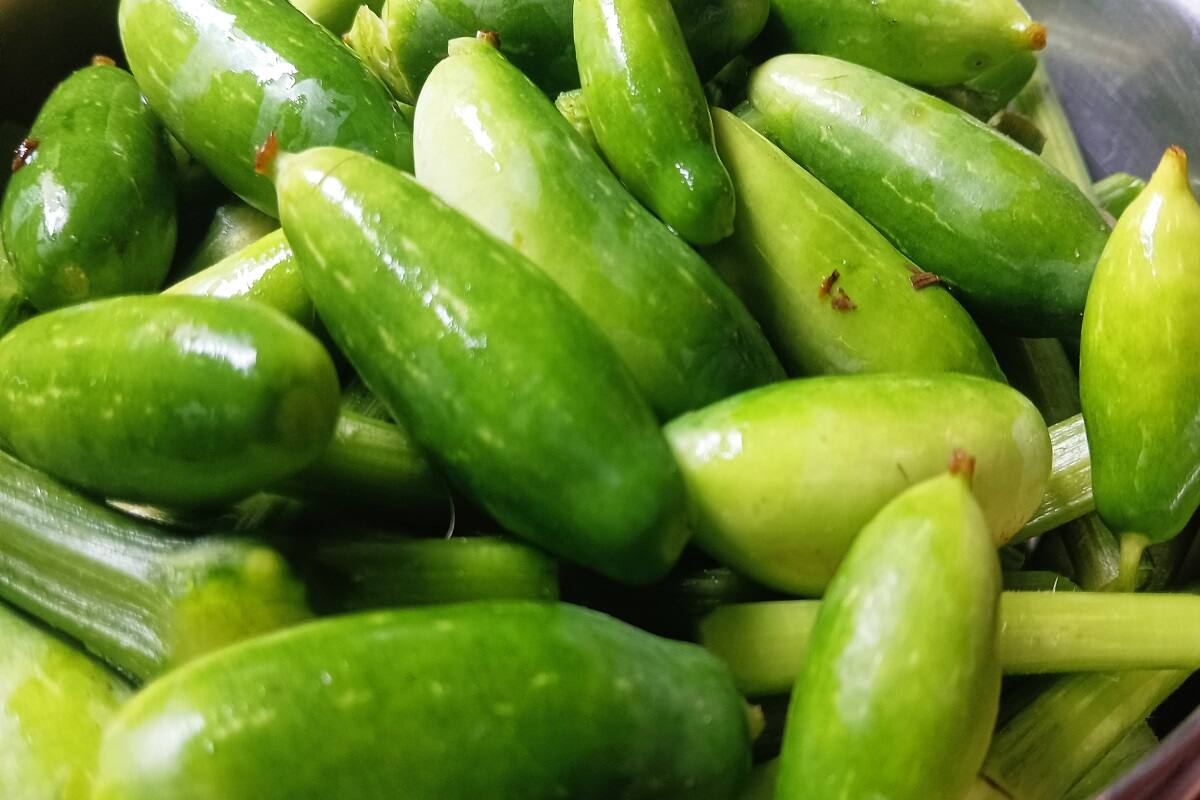 Healthy Lifestyle | দেখতে ছোট, গুণে বিরাট! কুঁদরির উপকারিতা জানলে এখনই ...