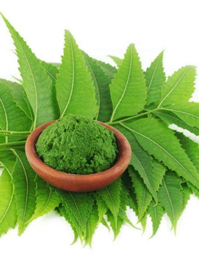 Neem: পাতা, ফল, ছাল, নিমের কিছুই ফেলনা নয়! একাধিক রোগ নিরাময়ে কীভাবে ...