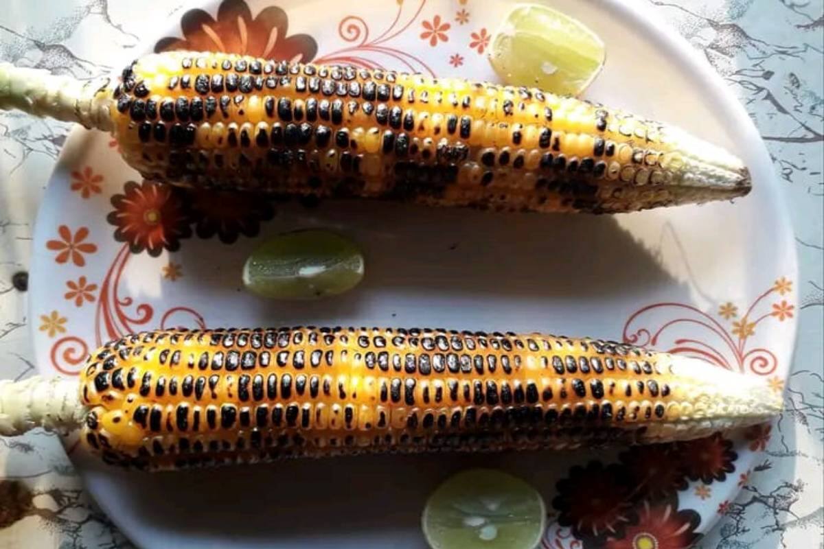 Health Benefits of Corn in Monsoon: সুস্থ হার্ট! নিয়ন্ত্রণে কোলেস্টেরল ...
