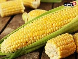 Health Benefits of Corn in Monsoon: সুস্থ হার্ট! নিয়ন্ত্রণে কোলেস্টেরল ...