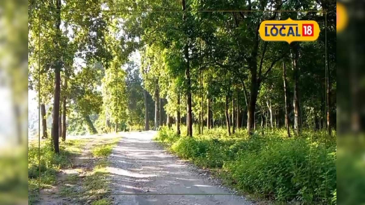 প্রান্তিক রাভা জনজাতির মেয়ে পিঙ্কি রাভা হতে চায় ডাব্লিউবিসিএস অফিসার ...