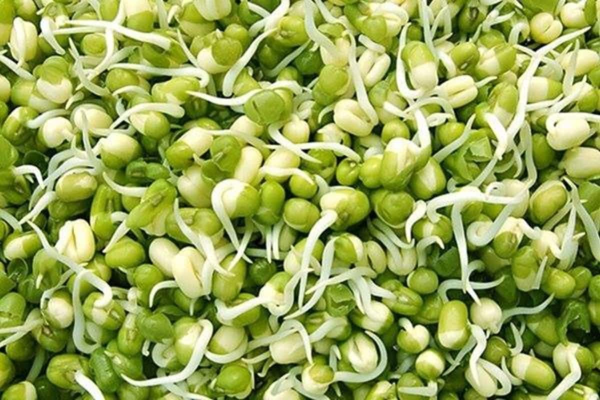 Moong Sprouts for Weight Loss: থলথলে চর্বি কমাতে দিন-রাত 'স্প্রাউট ...